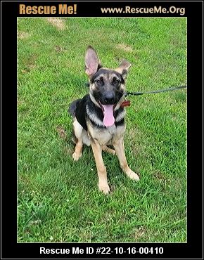 - Pennsylvania German Shepherd Rescue - ADOPTIONS - Rescue Me!