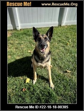 - Utah Dog Rescue - ADOPTIONS - Rescue Me!