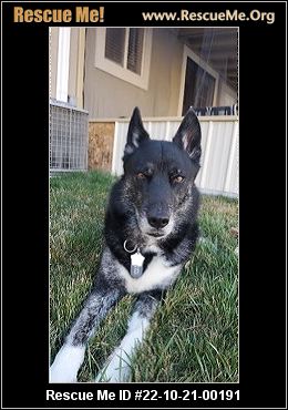 - Utah Dog Rescue - ADOPTIONS - Rescue Me!