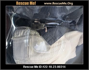 - Oregon Small Mammal Rescue - ADOPTIONS - Rescue Me!