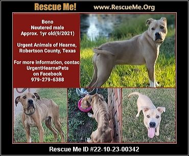- Texas Pit Bull Rescue - ADOPTIONS - Rescue Me!