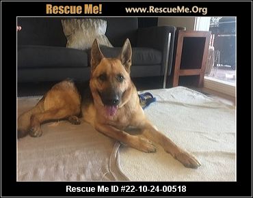 - Utah Dog Rescue - ADOPTIONS - Rescue Me!
