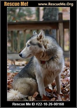 - Alabama Dog Rescue - ADOPTIONS - Rescue Me!