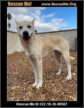 - Wisconsin Dog Rescue - ADOPTIONS - Rescue Me!