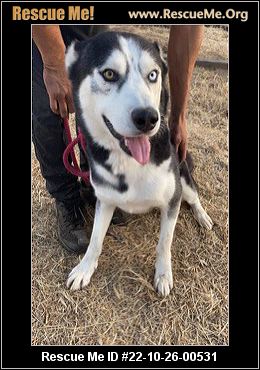 - Wisconsin Dog Rescue - ADOPTIONS - Rescue Me!