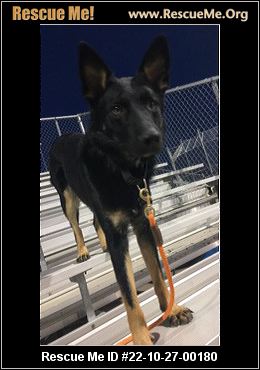 - South Dakota Mutt Rescue - ADOPTIONS - Rescue Me!