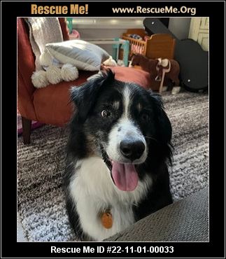 - Oregon Dog Rescue - ADOPTIONS - Rescue Me!