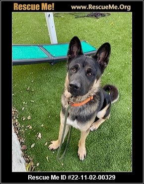 - Utah Dog Rescue - ADOPTIONS - Rescue Me!