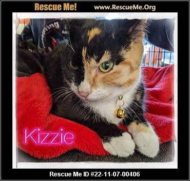 - Maryland Cat Rescue - ADOPTIONS - Rescue Me!