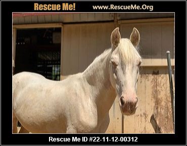 - California Horse Rescue - ADOPTIONS - Rescue Me!