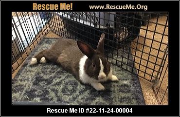 - California Rabbit Rescue - ADOPTIONS - Rescue Me!