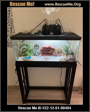 - Washington Reptile/Amphibian Rescue - ADOPTIONS - Rescue Me!