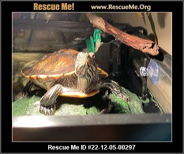 - Illinois Reptile/Amphibian Rescue - ADOPTIONS - Rescue Me!