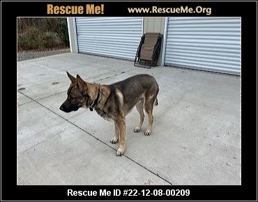 - North Carolina German Shepherd Rescue - ADOPTIONS - Rescue Me!