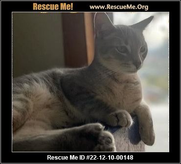 - Virginia Cat Rescue - ADOPTIONS - Rescue Me!