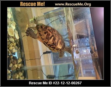 - New Jersey Reptile/Amphibian Rescue - ADOPTIONS - Rescue Me!