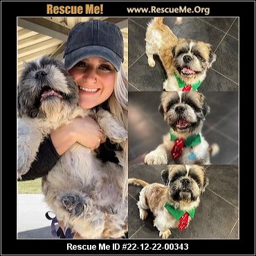 - Arizona Lhasa Apso Rescue - ADOPTIONS - Rescue Me!
