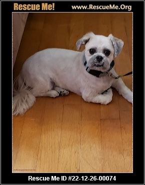 - California Lhasa Apso Rescue - ADOPTIONS - Rescue Me!