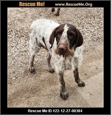 - Heritage Farms Animal Rescue - Liberty Center, OH - AVAILABLE PETS