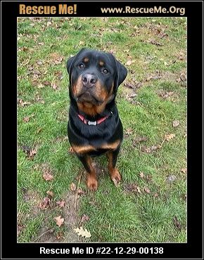 - Oregon Rottweiler Rescue - ADOPTIONS - Rescue Me!