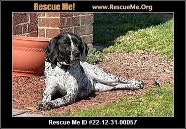 - West Virginia Dog Rescue - ADOPTIONS - Rescue Me!