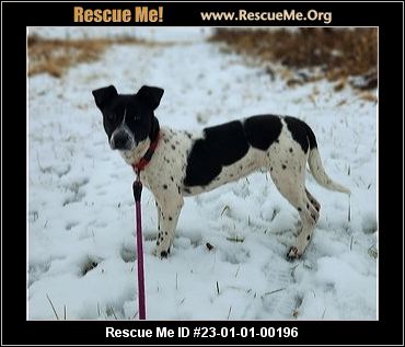 - Wisconsin Dog Rescue - ADOPTIONS - Rescue Me!