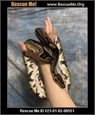 - Washington Reptile/Amphibian Rescue - ADOPTIONS - Rescue Me!