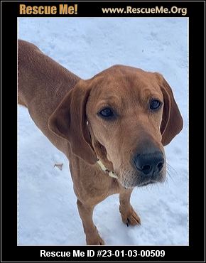 - Wisconsin Dog Rescue - ADOPTIONS - Rescue Me!