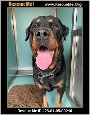- California Rottweiler Rescue - ADOPTIONS - Rescue Me!