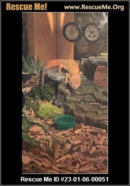 - Washington Reptile/Amphibian Rescue - ADOPTIONS - Rescue Me!