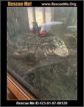 - New Jersey Reptile/Amphibian Rescue - ADOPTIONS - Rescue Me!