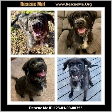 - Pennsylvania Dog Rescue - ADOPTIONS - Rescue Me!