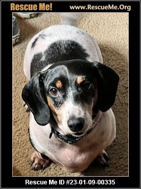 - Alabama Dog Rescue - ADOPTIONS - Rescue Me!