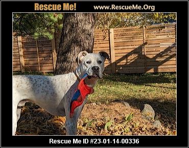 - Wisconsin Dog Rescue - ADOPTIONS - Rescue Me!