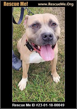 - West Virginia Dog Rescue - ADOPTIONS - Rescue Me!