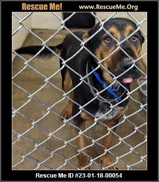 - West Virginia Dog Rescue - ADOPTIONS - Rescue Me!