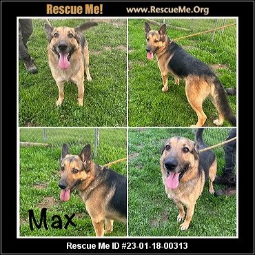 - Oregon Dog Rescue - ADOPTIONS - Rescue Me!