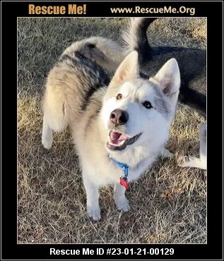 - Wisconsin Dog Rescue - ADOPTIONS - Rescue Me!