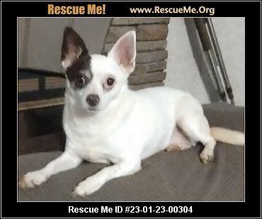 - Alabama Dog Rescue - ADOPTIONS - Rescue Me!