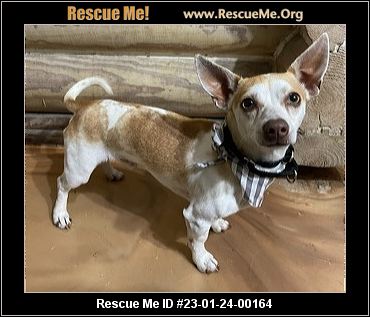 - Wisconsin Dog Rescue - ADOPTIONS - Rescue Me!