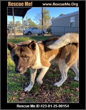 - Alabama Dog Rescue - ADOPTIONS - Rescue Me!