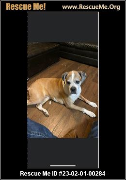 - Georgia Boxer Rescue - ADOPTIONS - Rescue Me!