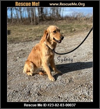 - Kentucky Dog Rescue - ADOPTIONS - Rescue Me!