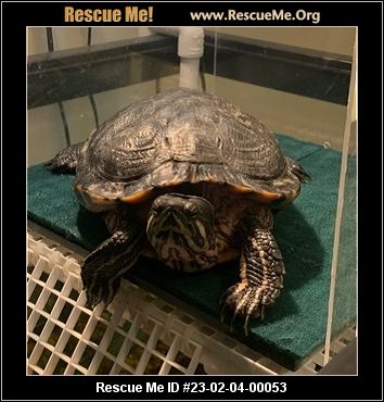 - New Jersey Reptile/Amphibian Rescue - ADOPTIONS - Rescue Me!