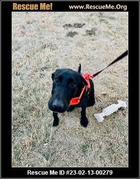 - Nebraska Dog Rescue - ADOPTIONS - Rescue Me!