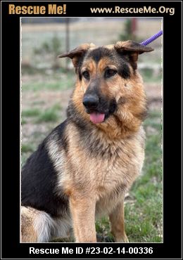 - Maryland German Shepherd Rescue - ADOPTIONS - Rescue Me!