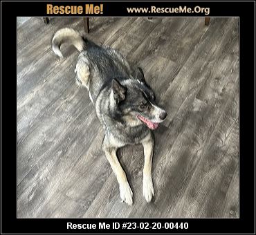 - Idaho Dog Rescue - ADOPTIONS - Rescue Me!
