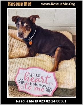 - Oregon Dog Rescue - ADOPTIONS - Rescue Me!