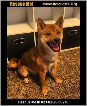 - Alaska Dog Rescue - ADOPTIONS - Rescue Me!