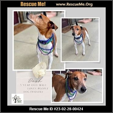 - South Carolina Dog Rescue - ADOPTIONS - Rescue Me!